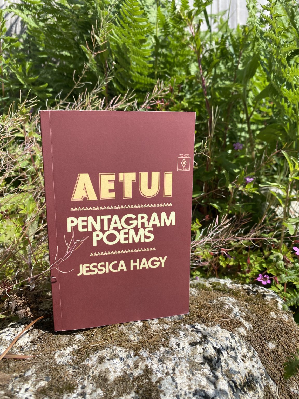 AETUI: Pentagram Poems – Jessica Hagy